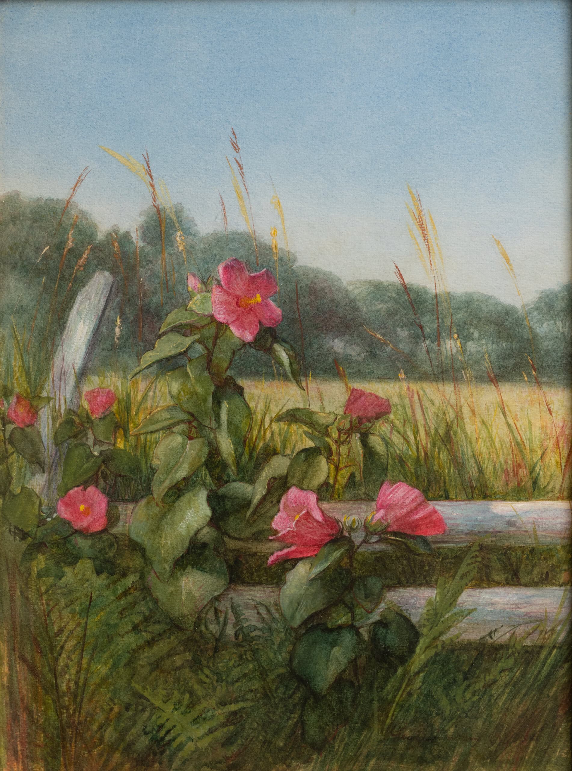 Swamp Rose-Mallow by a Fence - Questroyal Fine Art