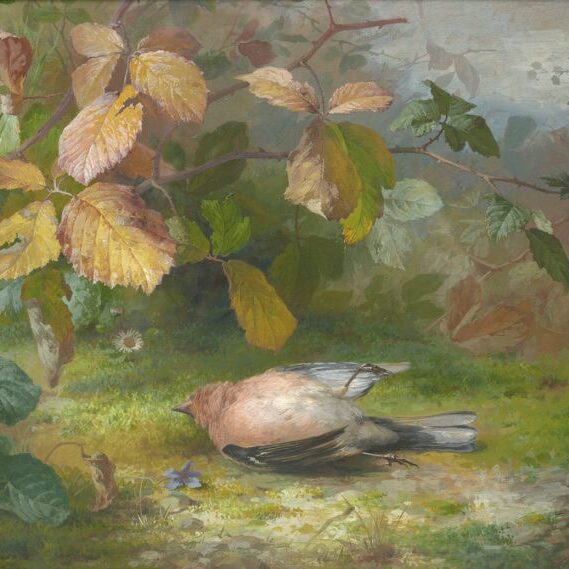 François Rivoire - Questroyal Fine Art